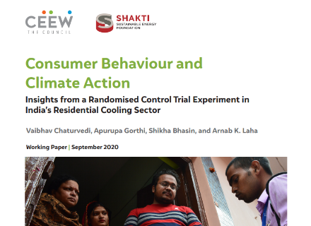 Council on Energy, Environment and Water (CEEW) - India Cooling Coalition